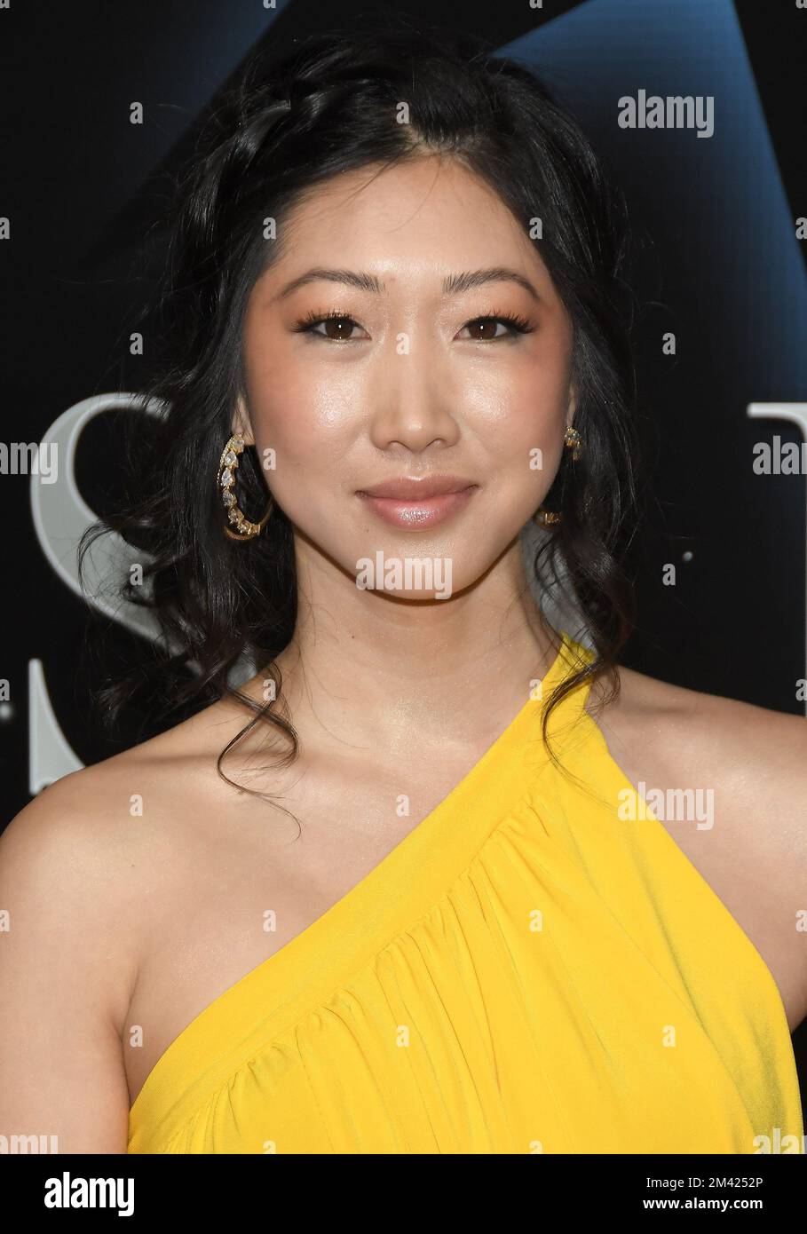 Shannon Dang at the 20th Annual Asian American Awards UNFORGETTABLE ...