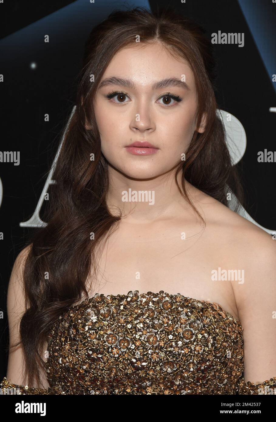 Anna Cathcart at the 20th Annual Asian American Awards UNFORGETTABLE ...