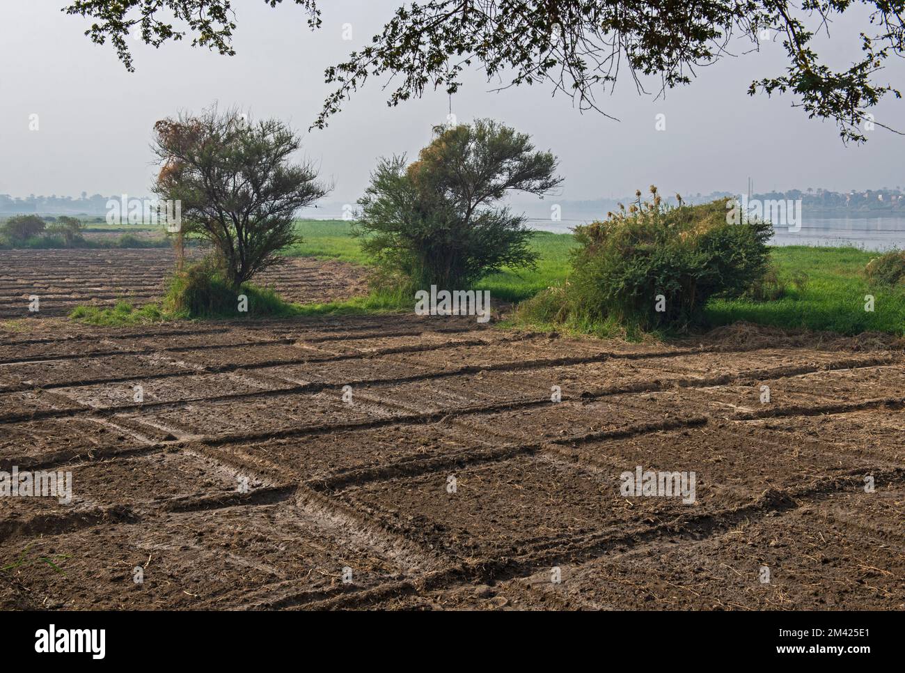 Rural agricultural scenery hi-res stock photography and images - Alamy