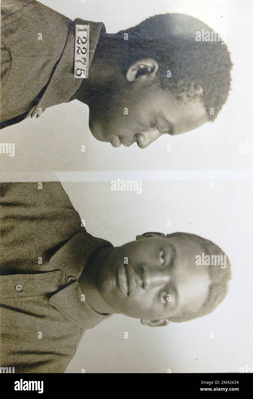 Jessie sullivan hi-res stock photography and images - Alamy