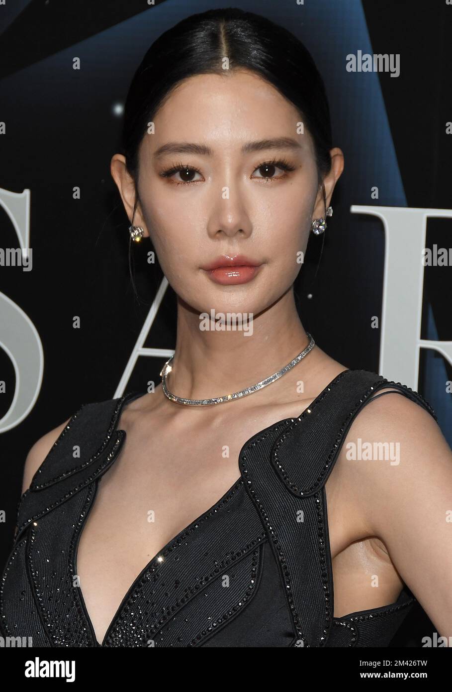 Los Angeles, USA. 17th Dec, 2022. Clara Lee at the 20th Annual Asian American Awards ...