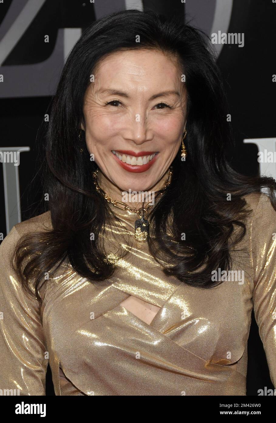 Los Angeles, USA. 17th Dec, 2022. Jodi Long at the 20th Annual Asian ...