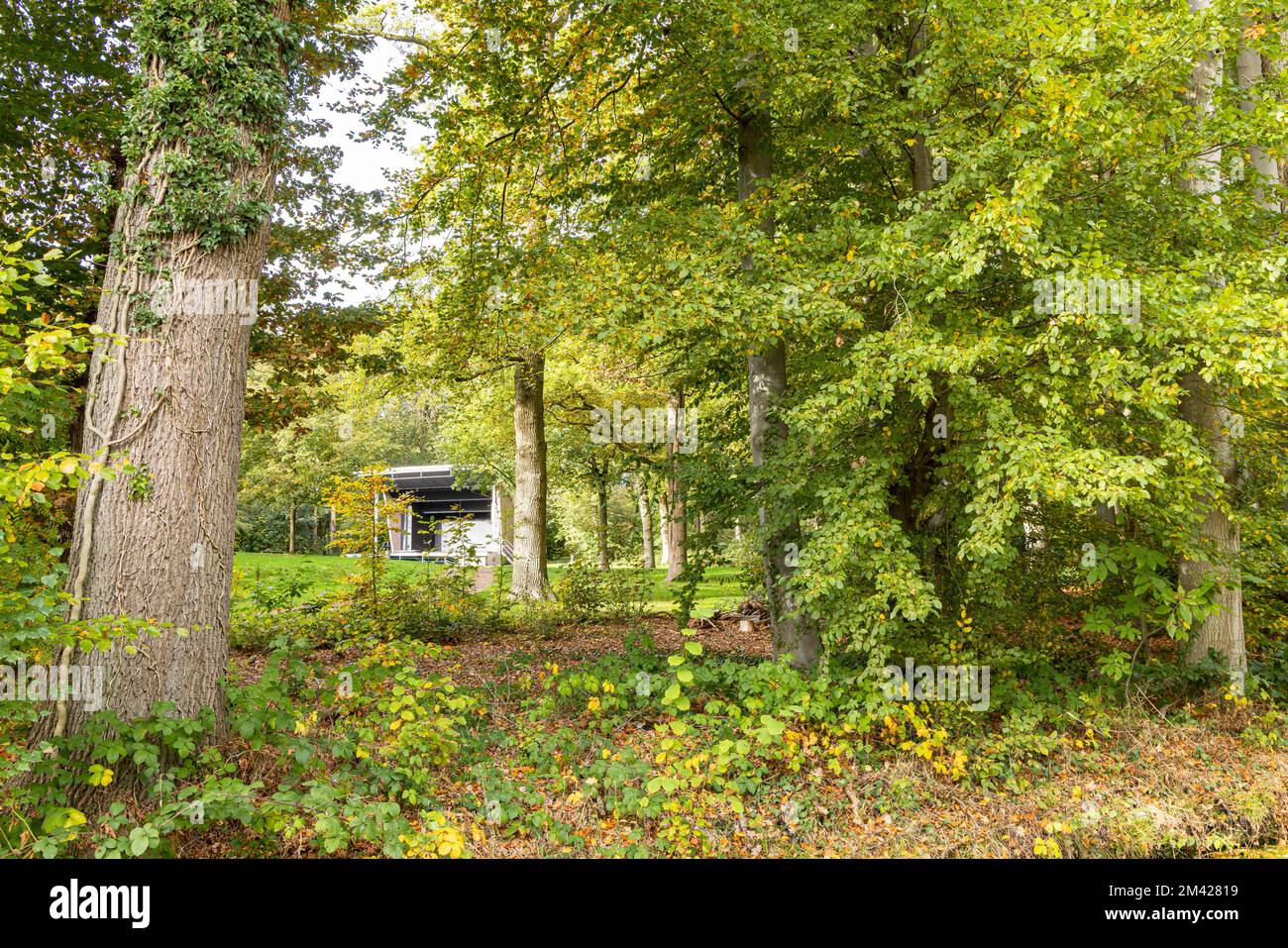 Entrance of estate and park Nienoord in Leek municipality Westerkwartier Groningen province in ...