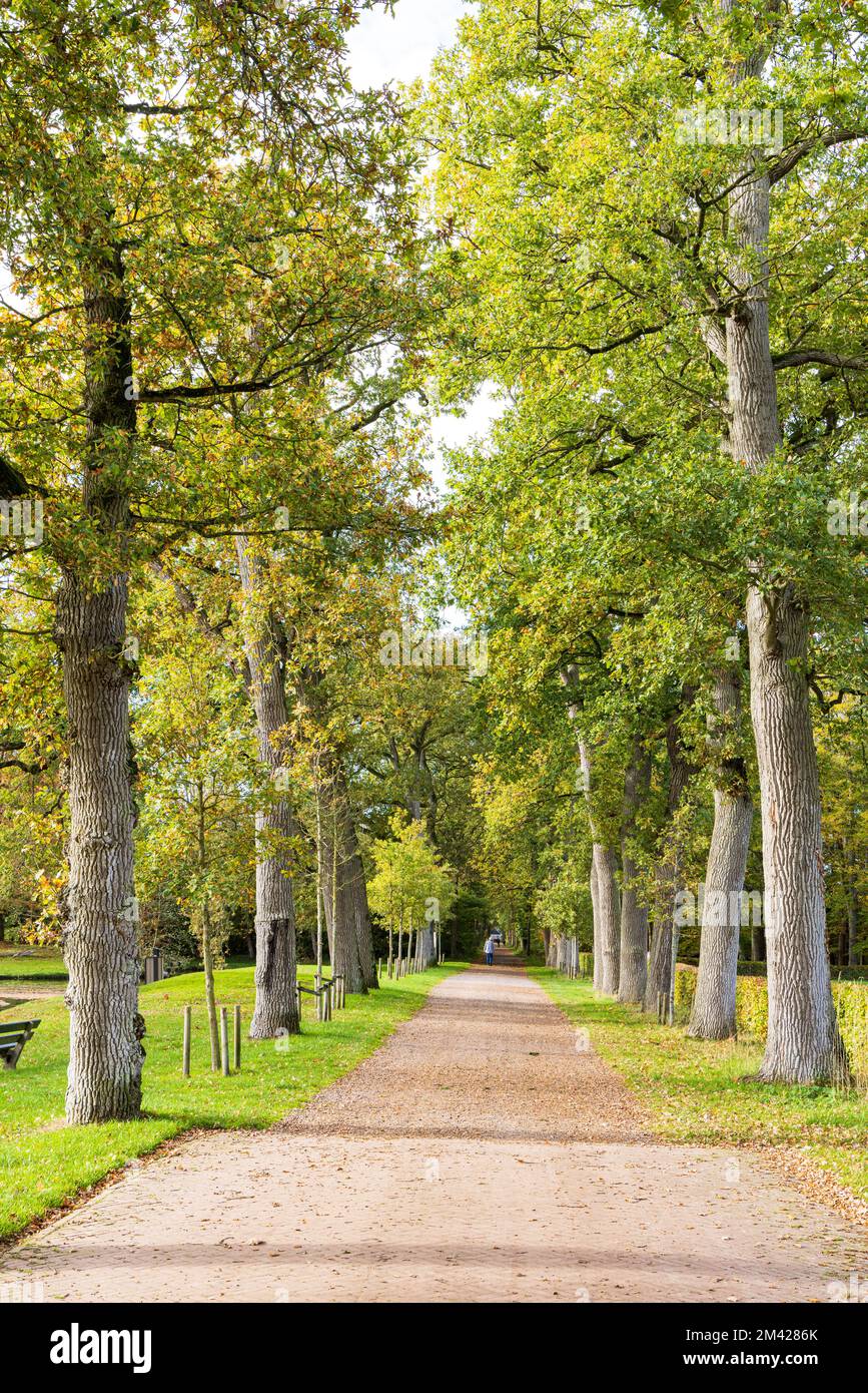 Estate and park Nienoord in Leek municipality Westerkwartier Groningen ...