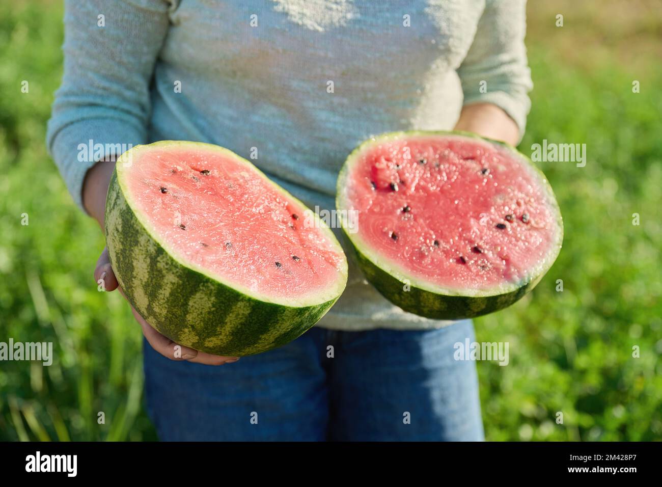 Watermelon cut in two halves hi-res stock photography and images - Alamy