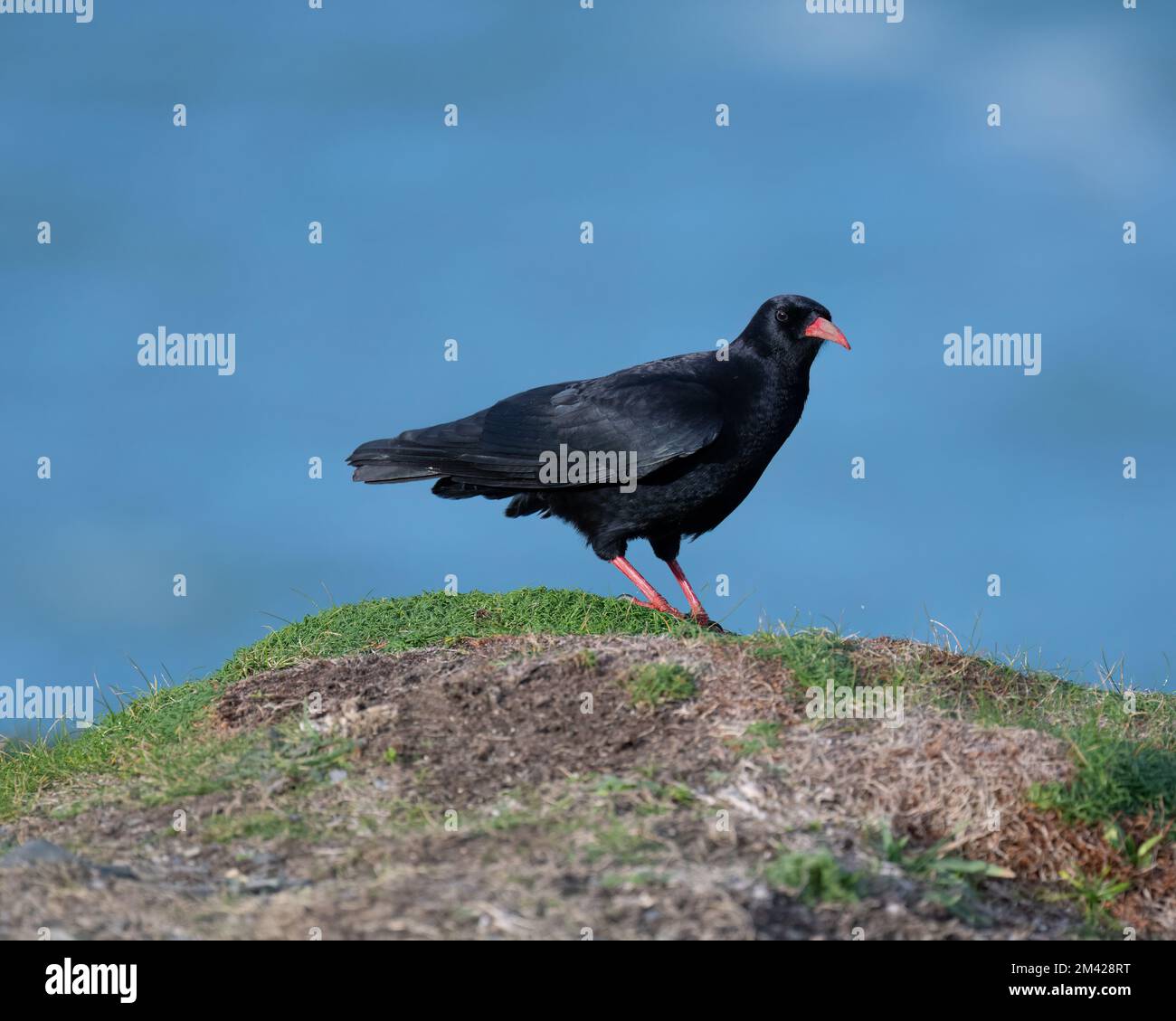 Henderson mound hi-res stock photography and images - Alamy