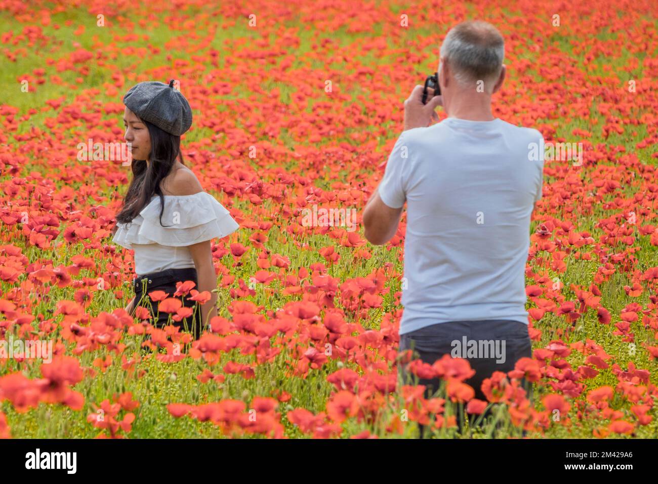 Posing In A Poppy Field Stock Photo - Alamy