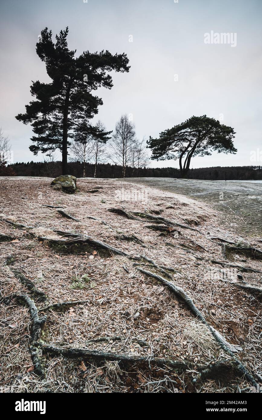 Moody day hi-res stock photography and images - Alamy