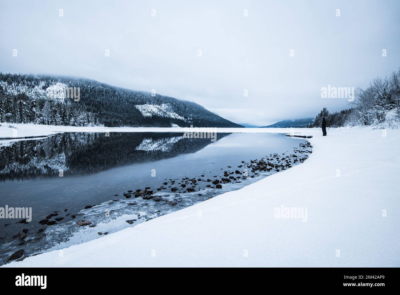 Standing besides the tree hi-res stock photography and images - Alamy