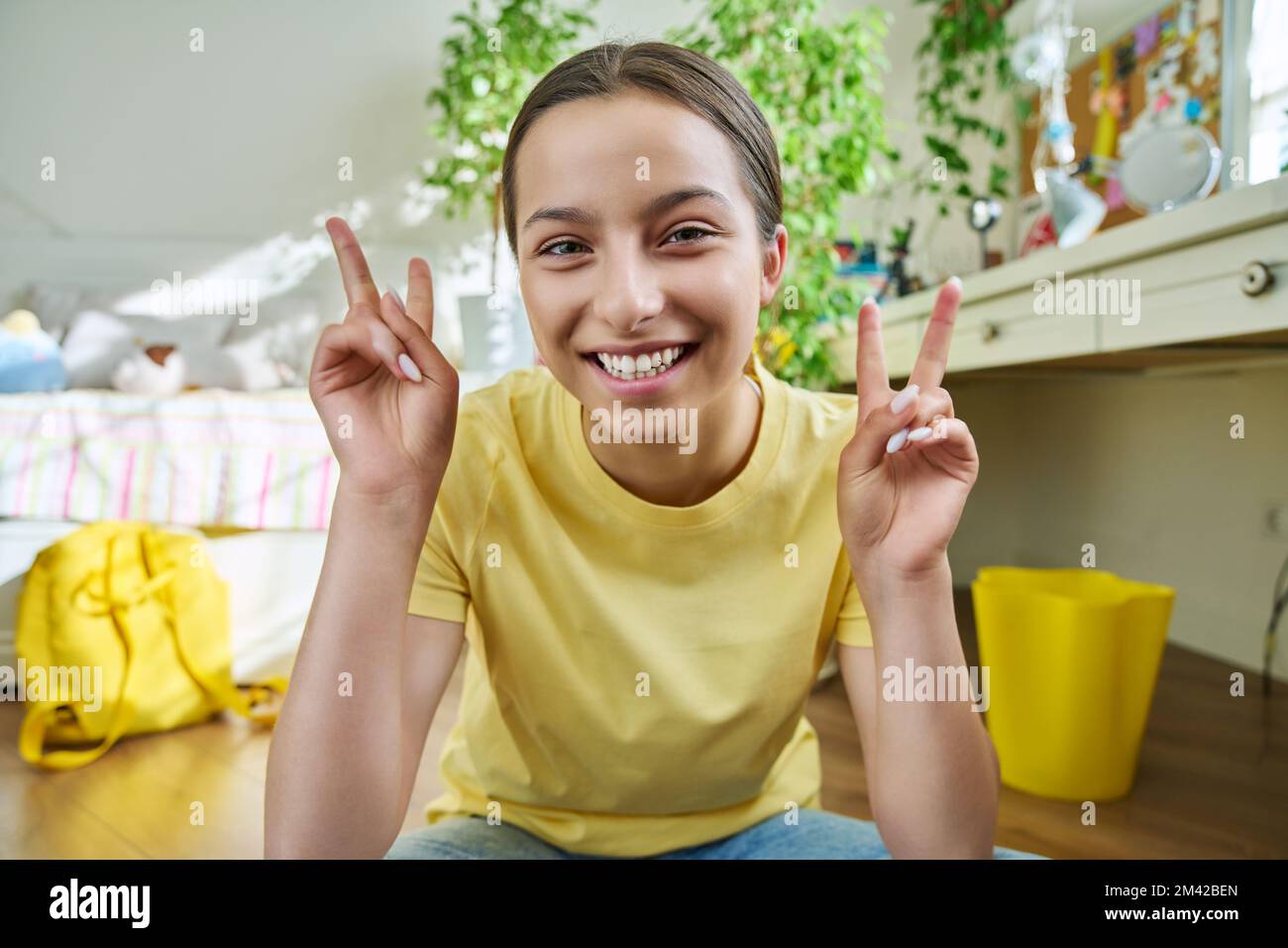 Teenage female student having video call, looking at webcam Stock Photo ...