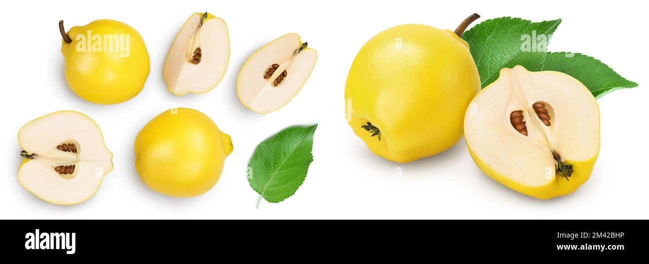 Fresh quince with half and slices isolated on the white background with ...