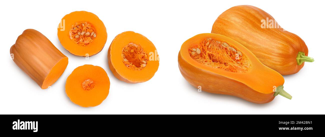 butternut squash or pumpkin isolated on white background with full ...