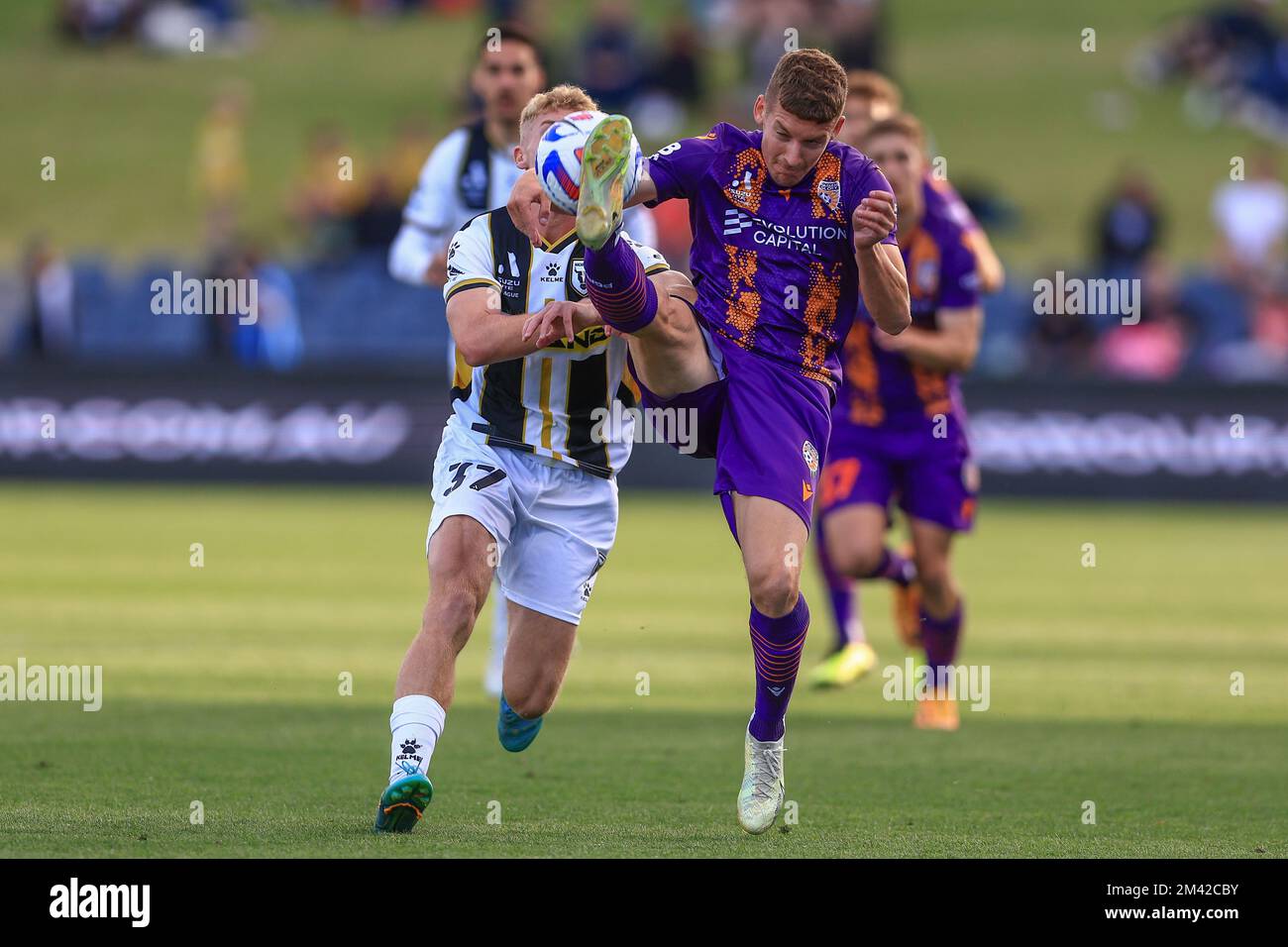 Trent ostler soccer australia hi-res stock photography and images - Alamy