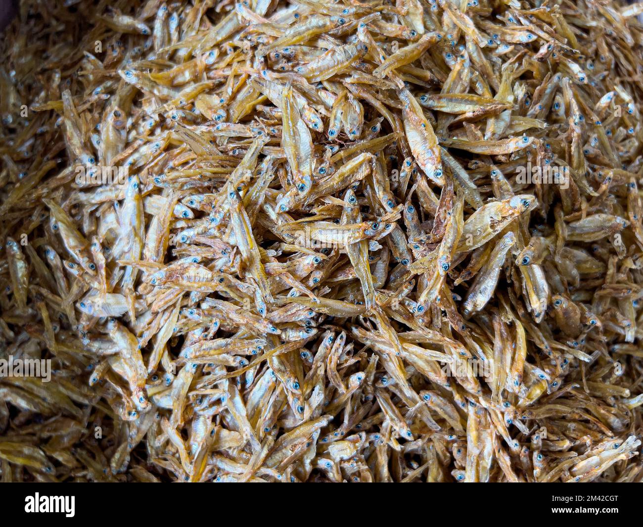 Dry fish market in bangladesh hi-res stock photography and images - Alamy