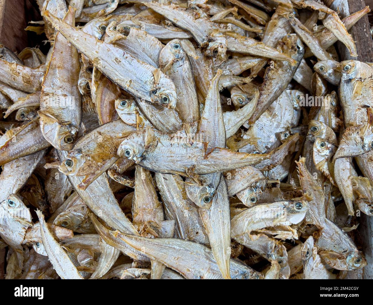 Dry fish market in bangladesh hi-res stock photography and images - Alamy