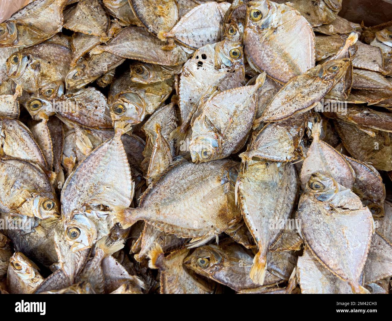 Dry fish market in bangladesh hi-res stock photography and images - Alamy