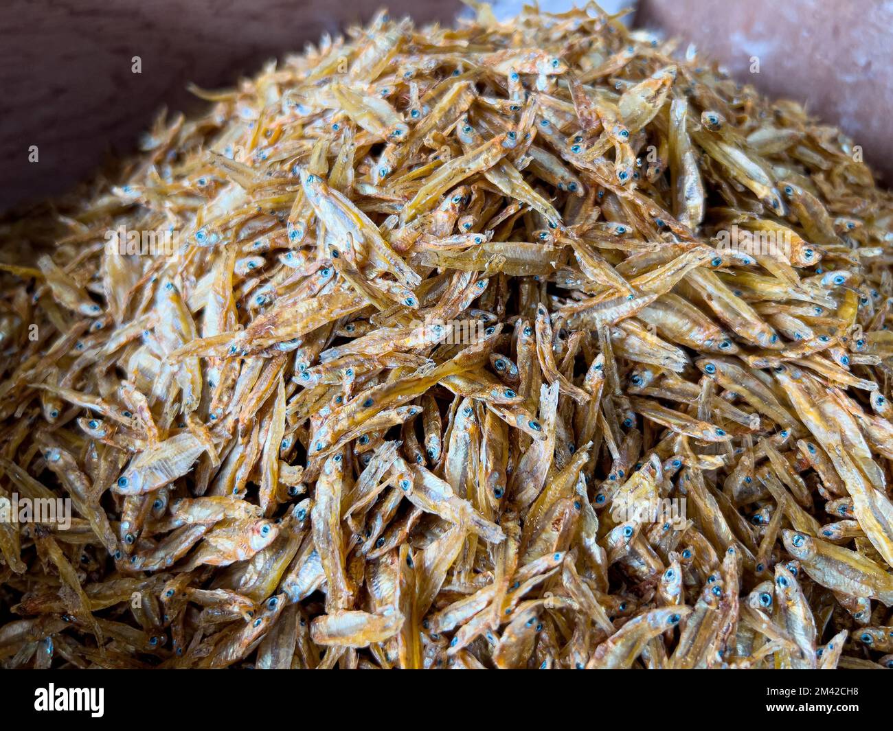 A closeup of small dried fish in an Asian market Stock Photo - Alamy