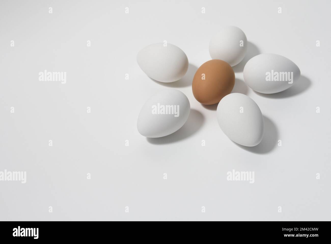 eggs isolated on white background Stock Photo - Alamy