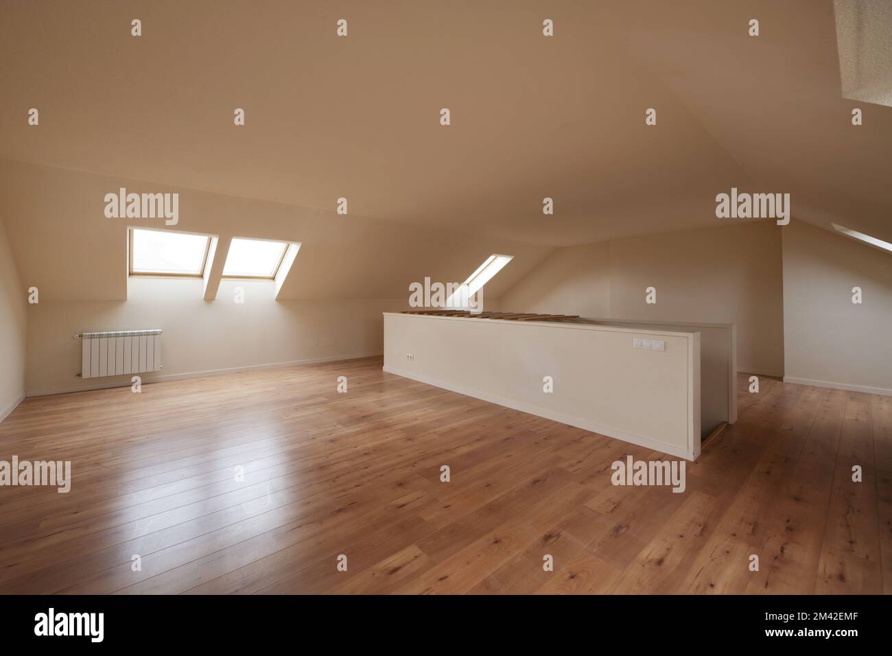 Empty attic with skylights on the eaves of the roof with floating ...