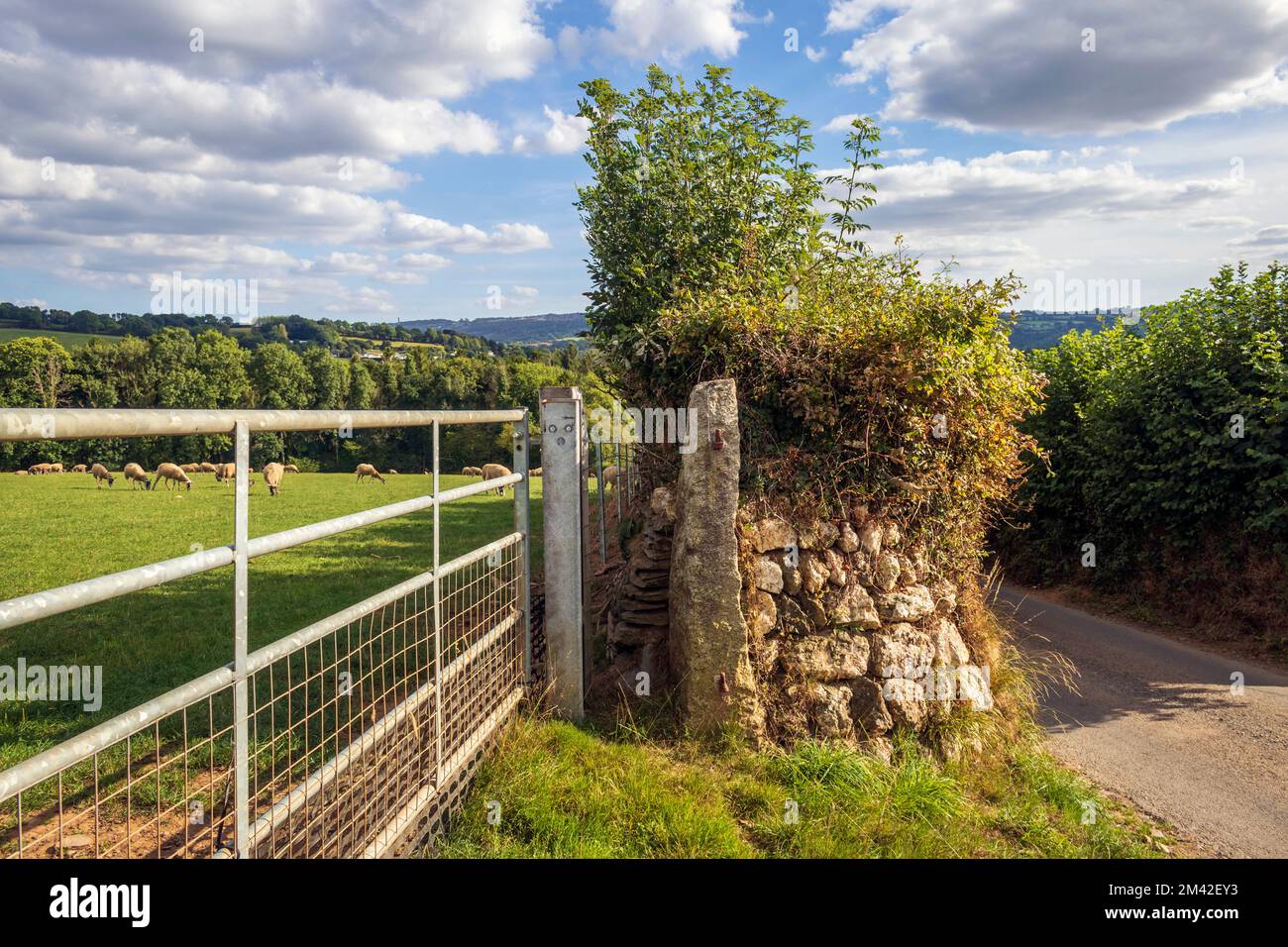 Times are a changing... New and traditional standing together The newer ...