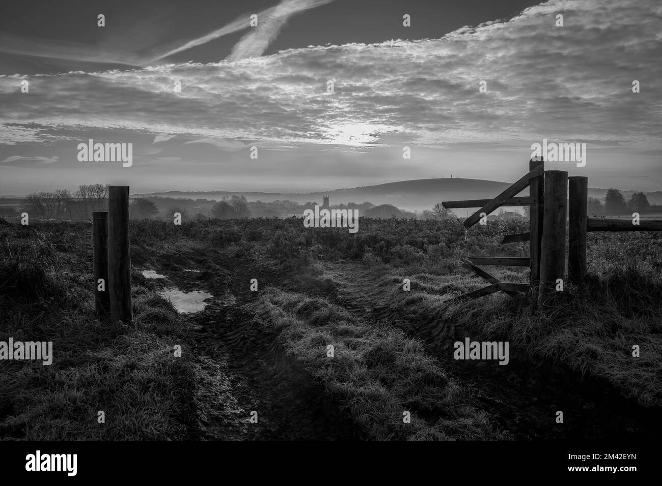 Frosty, misty morning in early December, looking through a broken ...