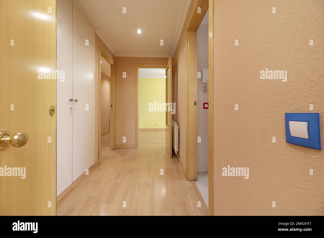 Entrance hall with access to a distributor with doors to different ...