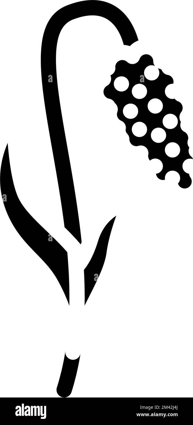 millet plant food glyph icon vector illustration Stock Vector Image ...