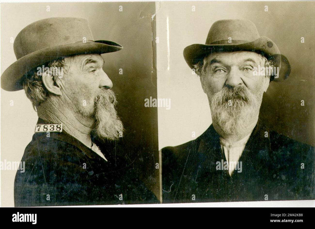 Borst hi-res stock photography and images - Alamy