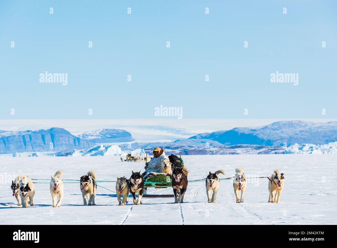Mushing dogs hi-res stock photography and images - Alamy