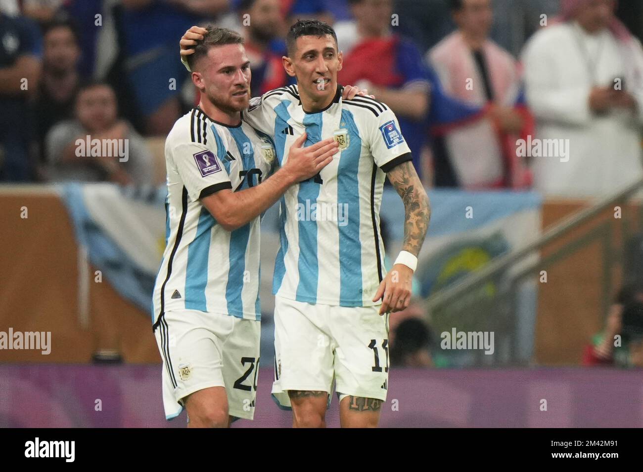 Angel Di Maria of Argentina celebrates his goal during the FIFA World ...