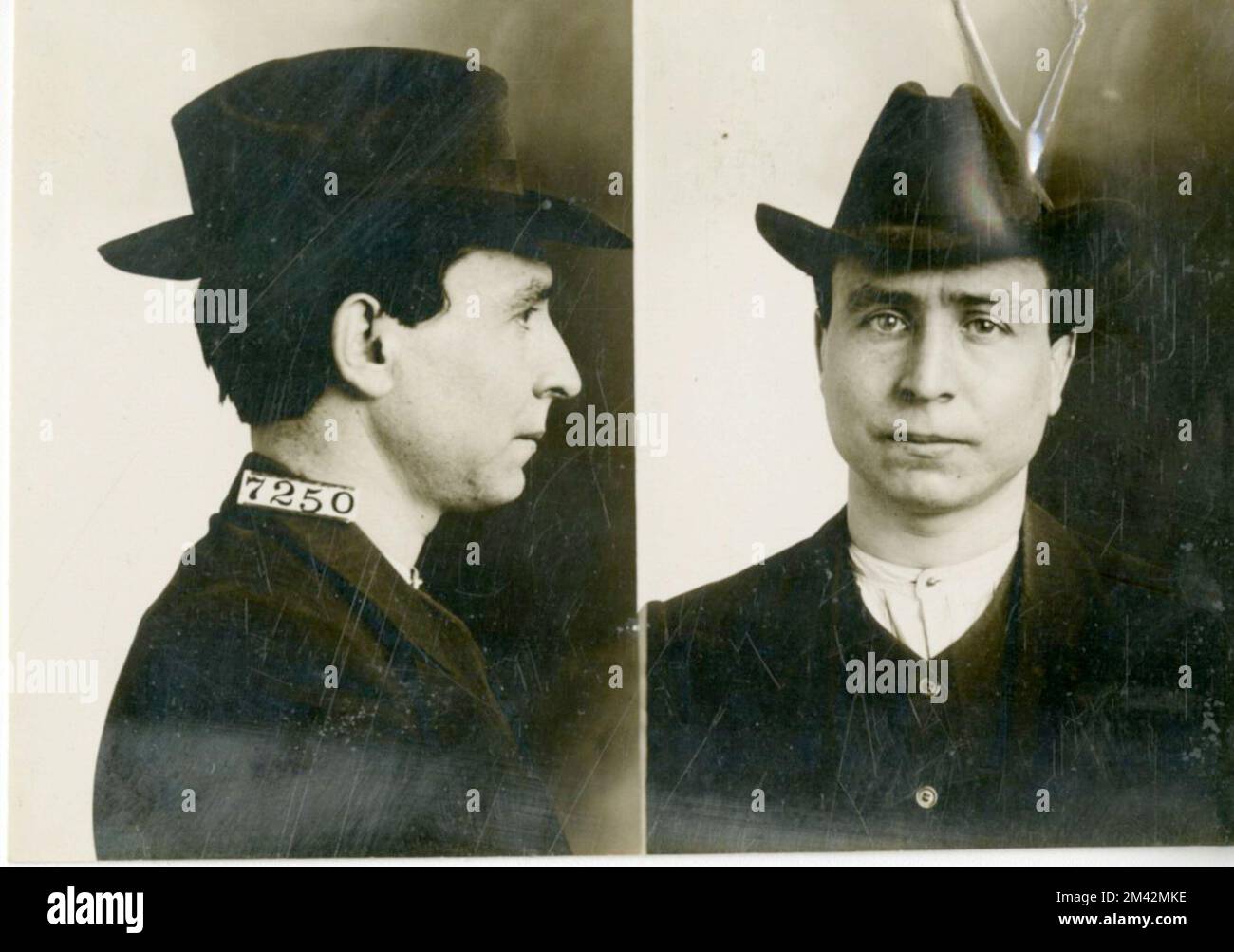 Photograph of Salvatore DiCola. Bureau of Prisons, Inmate case files ...