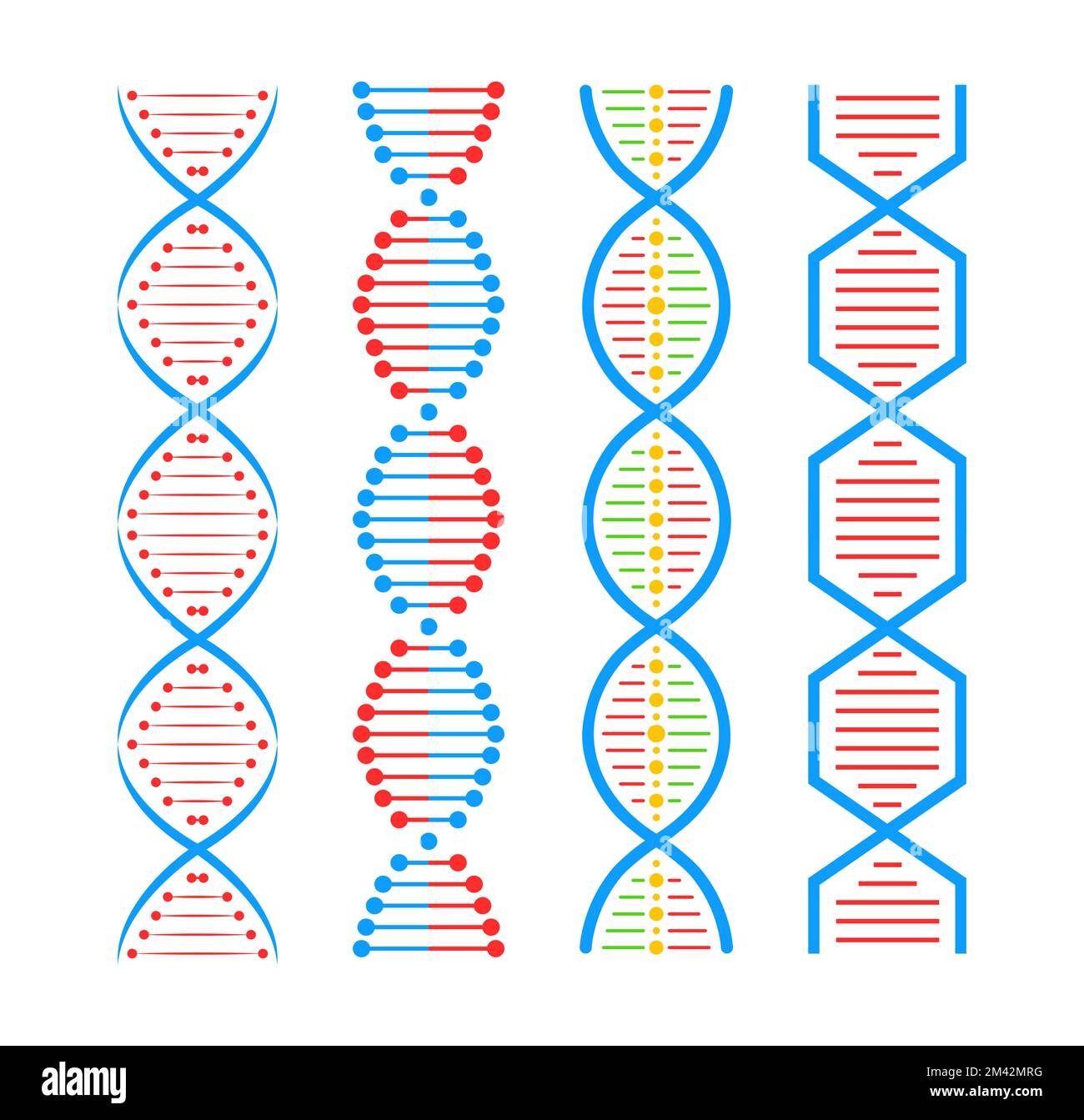 DNA structure Icon set. Structure molecule and cell, chromosome. Genetic engineering. Vector ...
