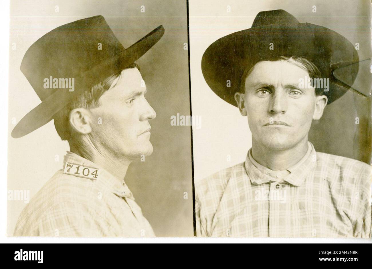 Branch f hi-res stock photography and images - Alamy