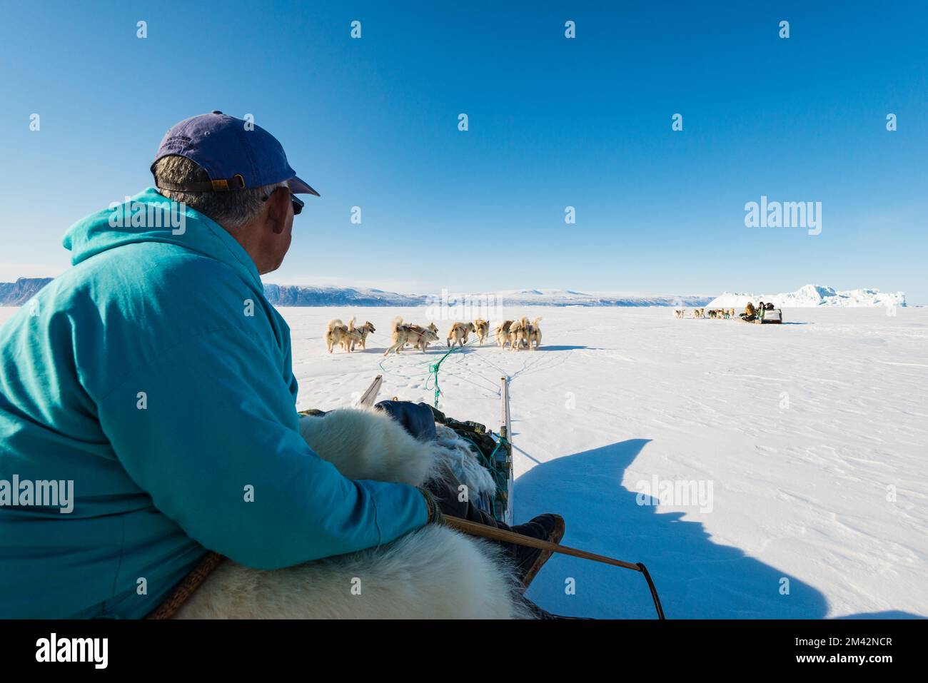 Dogs and musher hi-res stock photography and images - Alamy