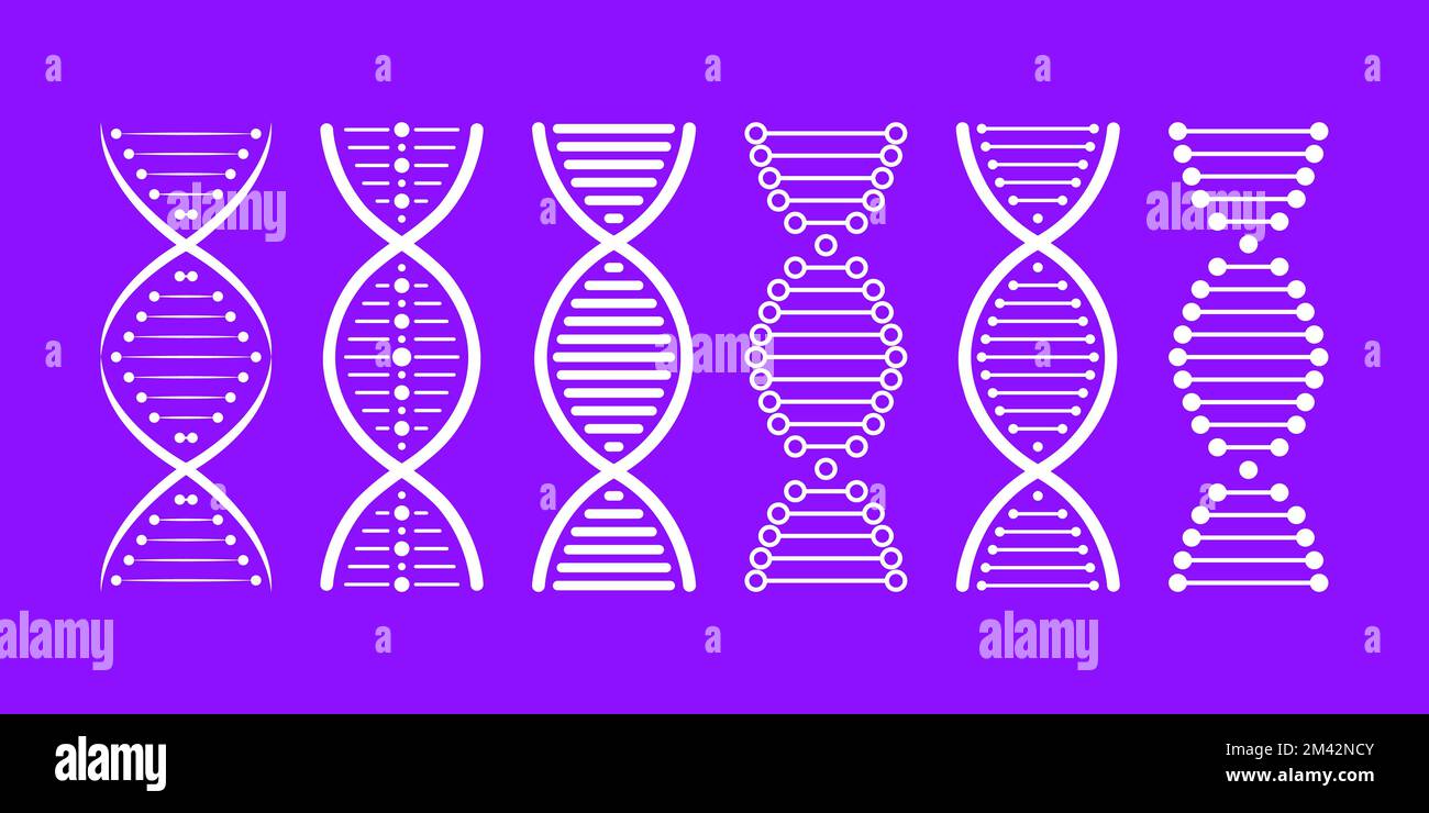 DNA structure Icon set. Structure molecule and cell, chromosome. Genetic engineering. Vector ...