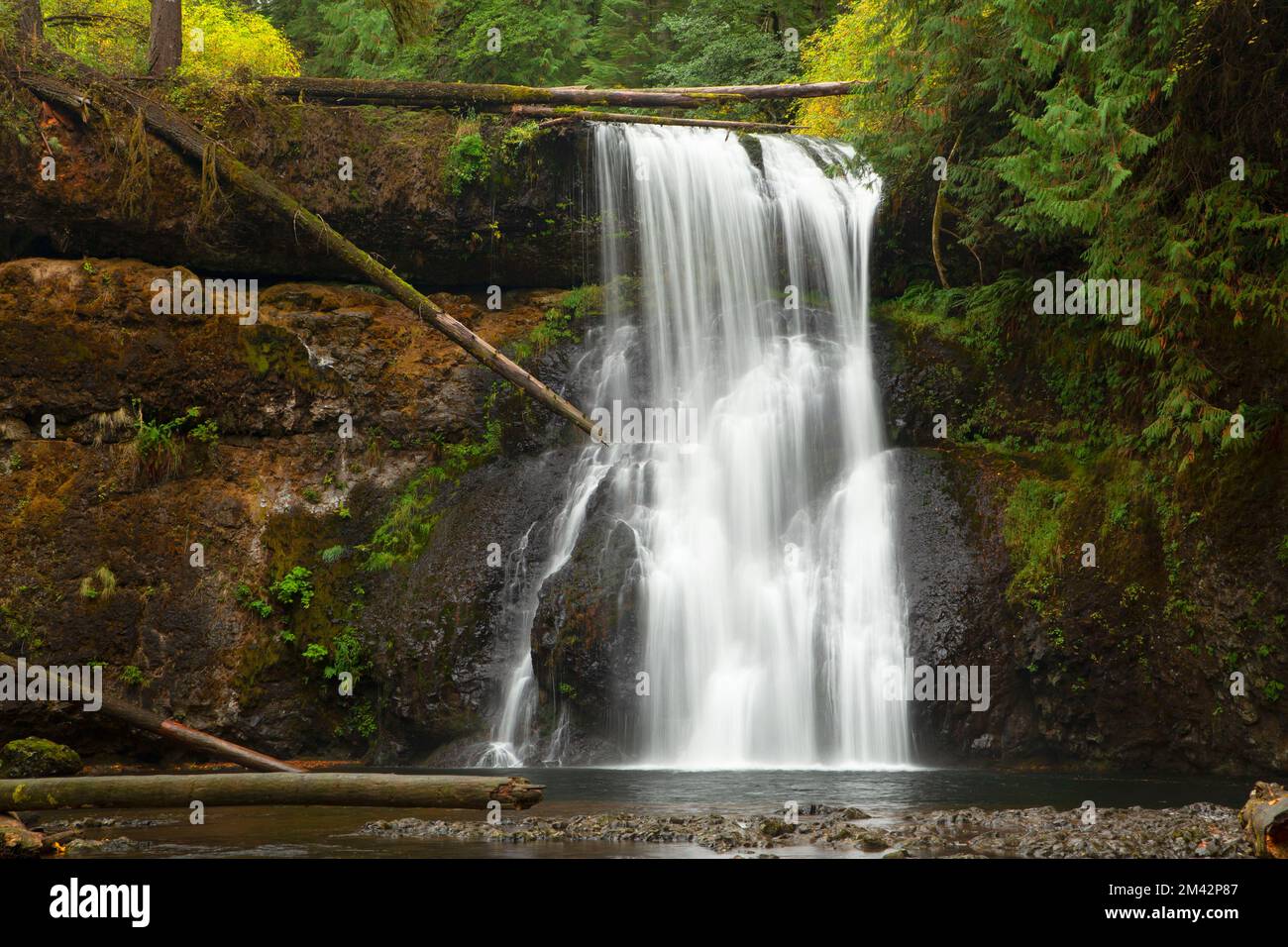Upper North Falls on Trail of Ten Falls, Silver Falls State Park ...