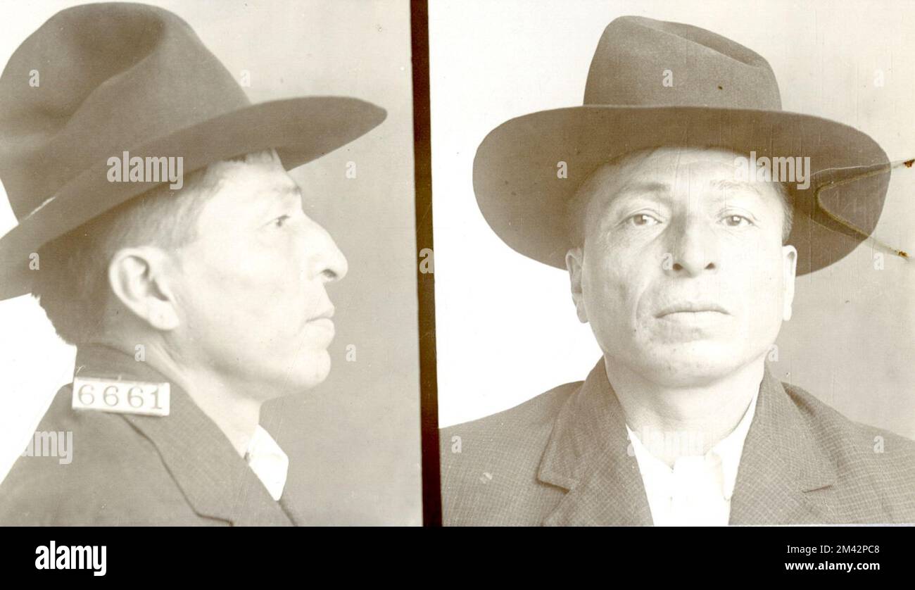 Roan eagle hi-res stock photography and images - Alamy