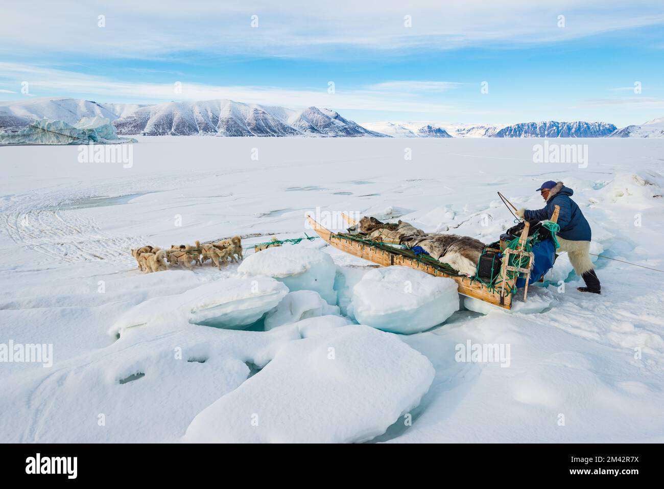 Musher and his sledge, Greenland Stock Photo - Alamy