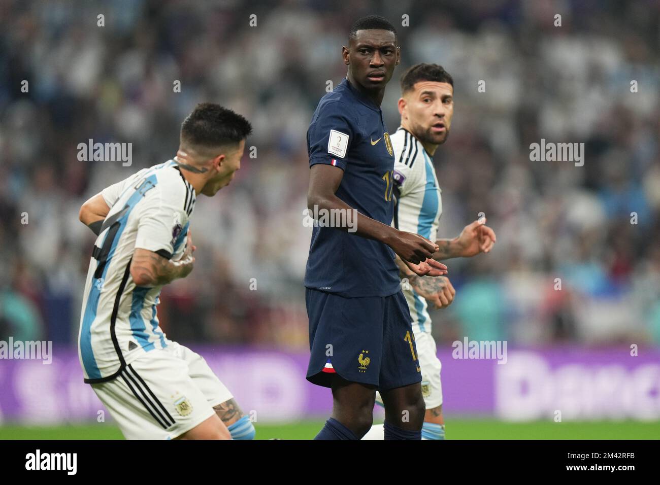 Kolo Muani of France during the FIFA World Cup Qatar 2022 match, Final ...