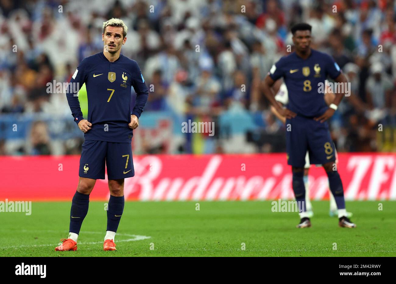 Doha, Qatar, 18th December 2022. A crest fallen Antoine Griezmann of ...