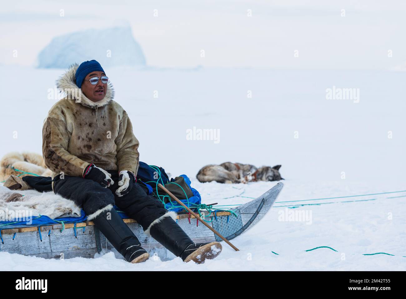 Musher dog hi-res stock photography and images - Alamy