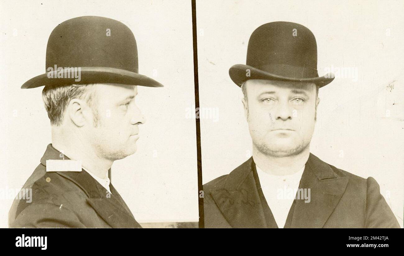 King charles official portrait hi-res stock photography and images - Alamy