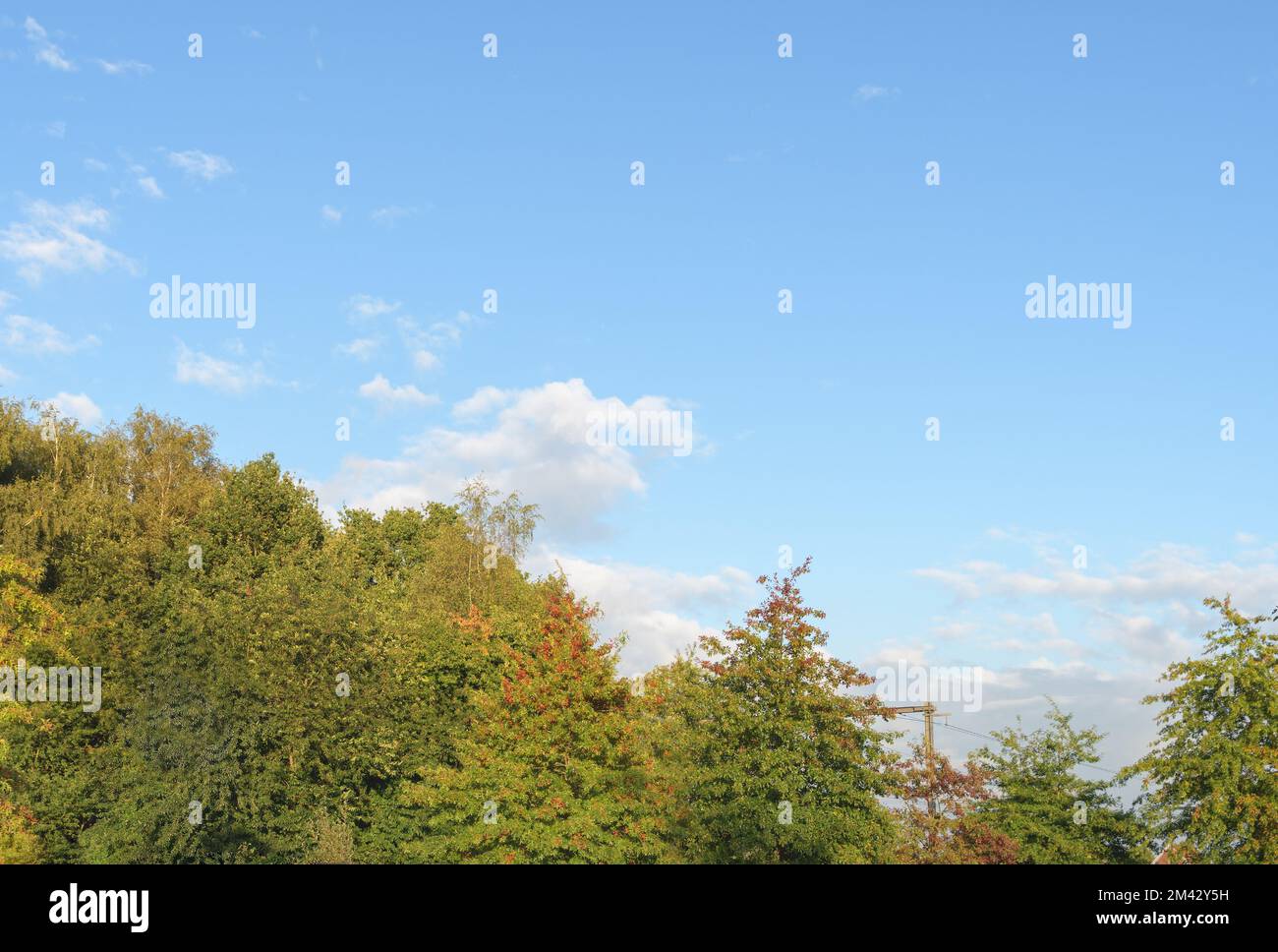 Autumn landscape. Trees that change color. Blue sky, white clouds. nice ...