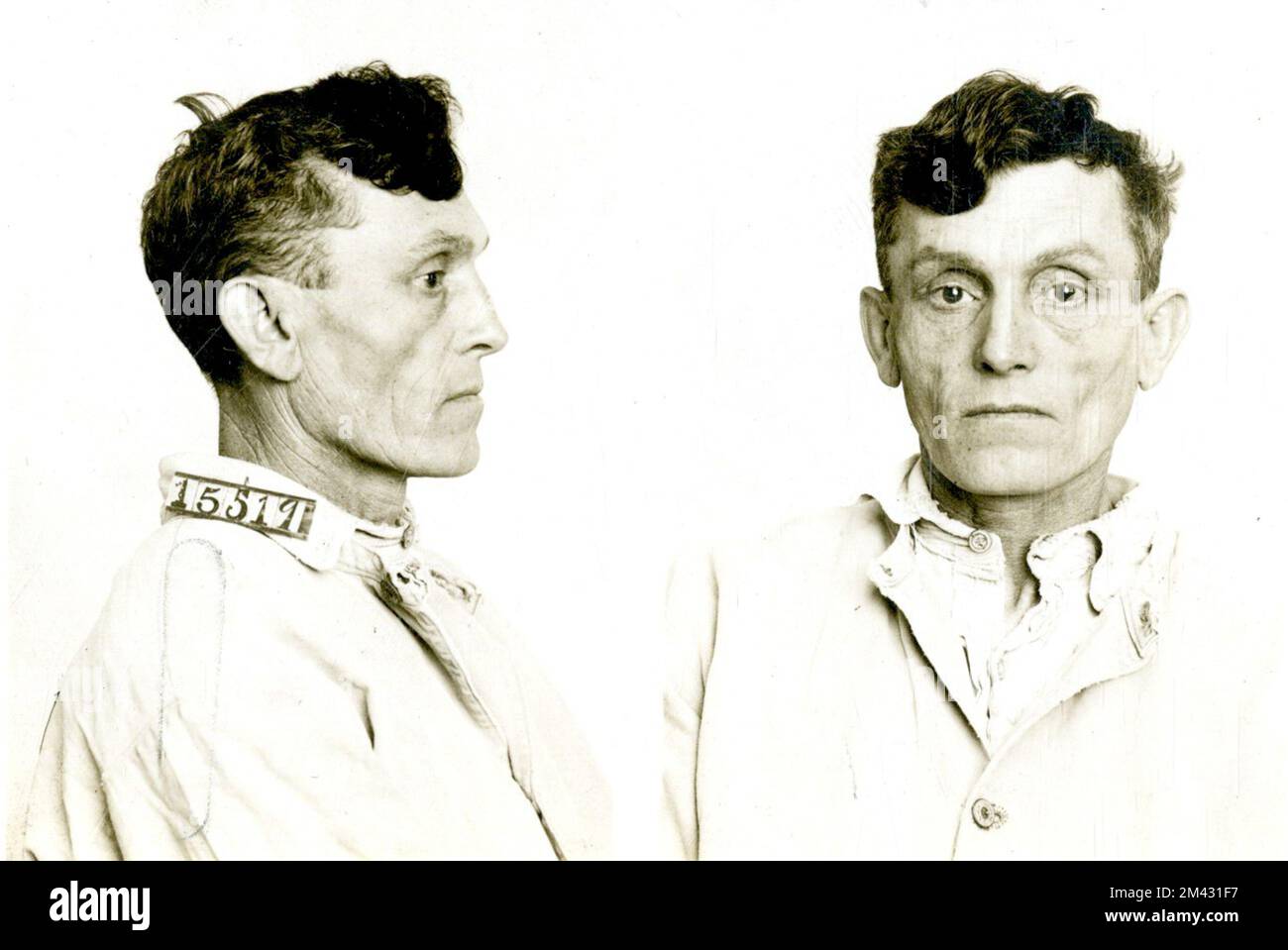 Sysel hi-res stock photography and images - Alamy