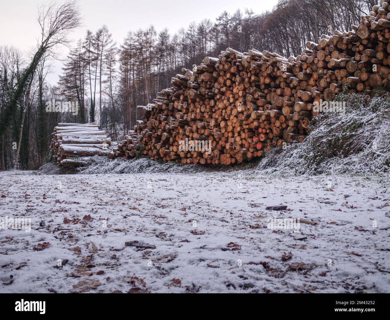 Woodstore hi-res stock photography and images - Alamy