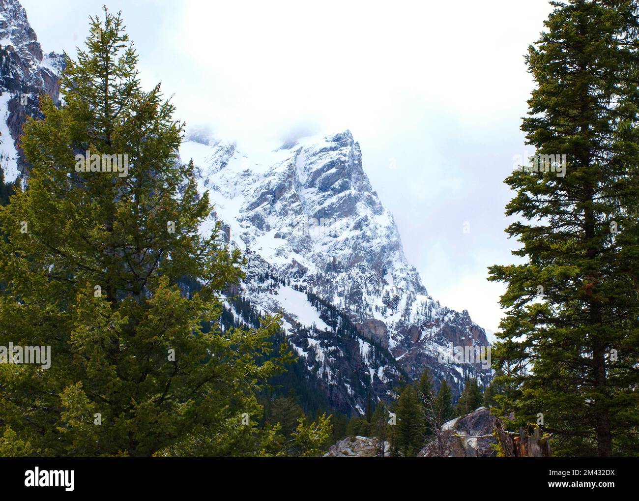 A beautiful landscape of Mount Owen from the tree foliage Stock Photo ...