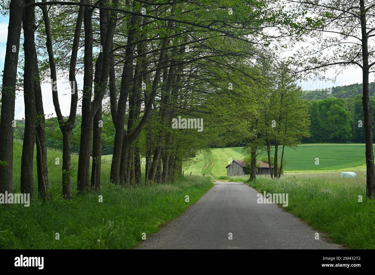 A narrow country lane overlooking an old wooden barn in a green ...
