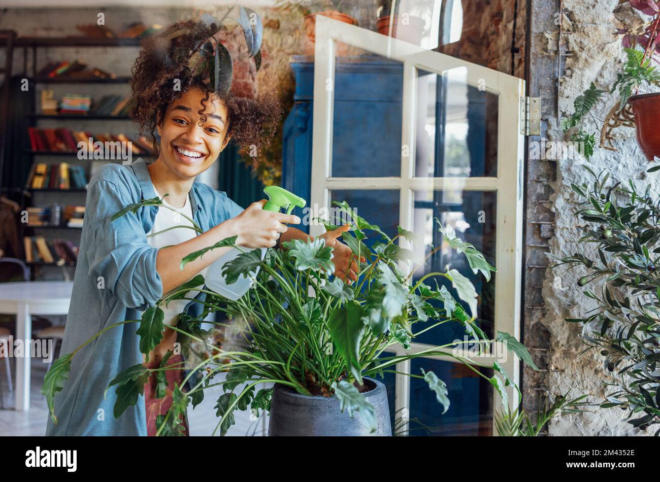 Happy plant lady. Young Afro American woman plant lover taking care of ...