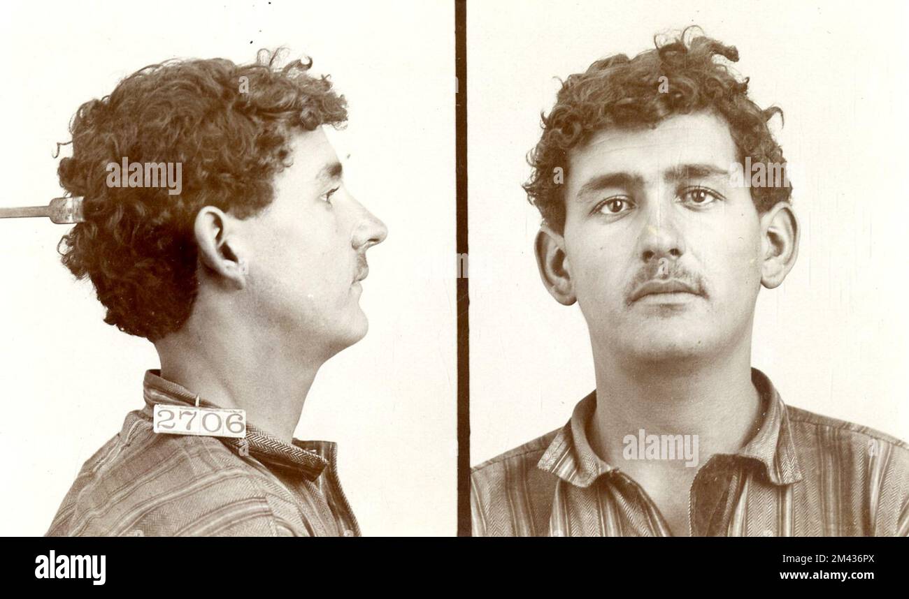 Photograph of Tilley James. This item is the prison photograph, also ...