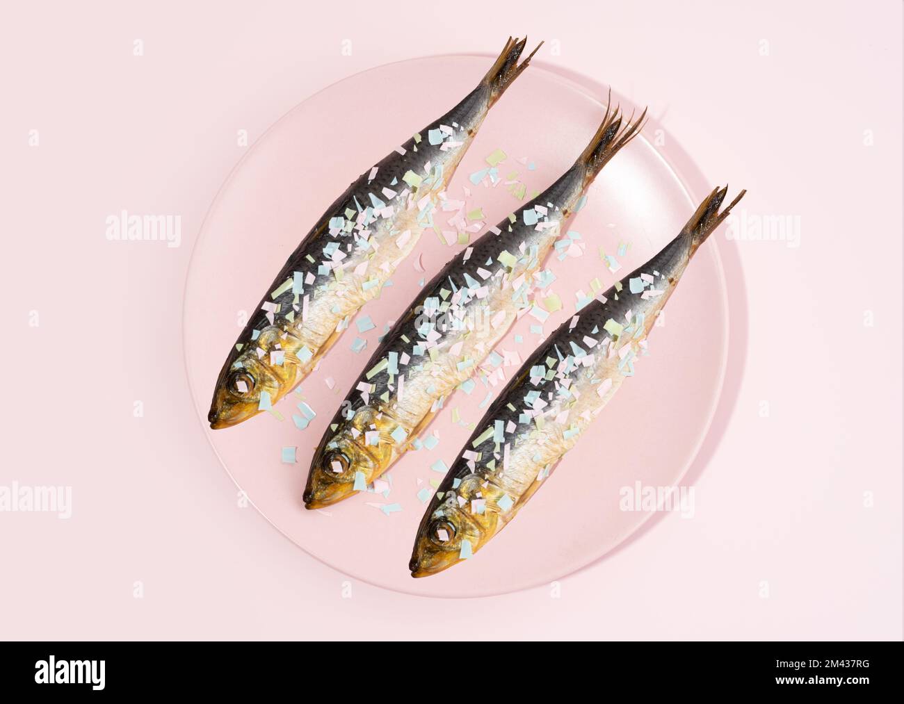 Fish covered microplastic on a pink plate. Impact of micro plastic on ...